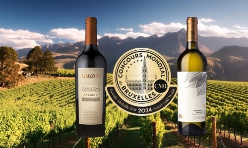 Romanian wineries, romanian wines, the wines of Romania