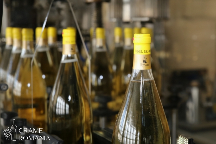 COTNARI WINERY, Wineries