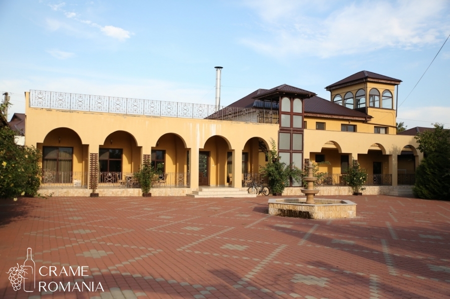 DOMENIILE PANCIU, Wineries