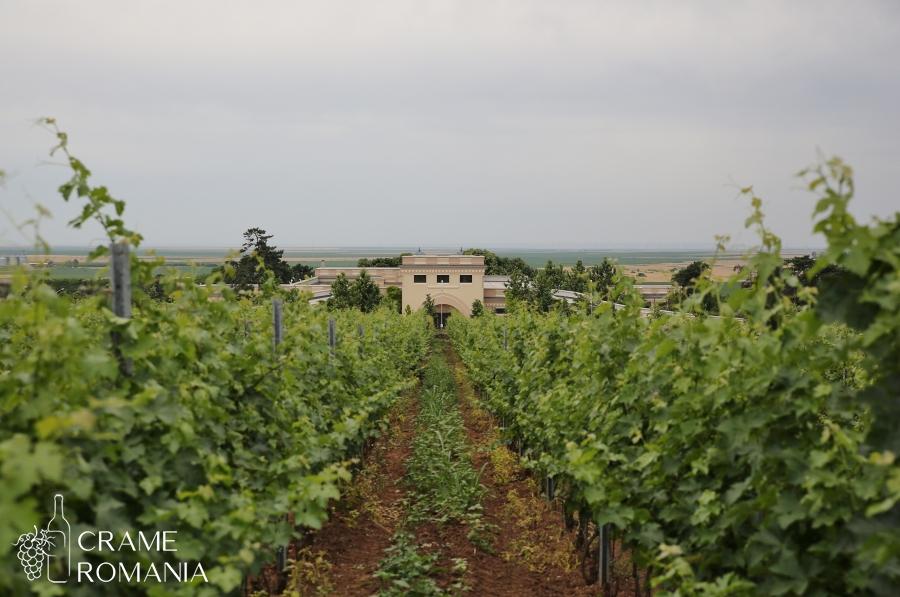 DOMENIUL COROANEI SEGARCEA , Galery. Domeniul Coroanei Segarcea