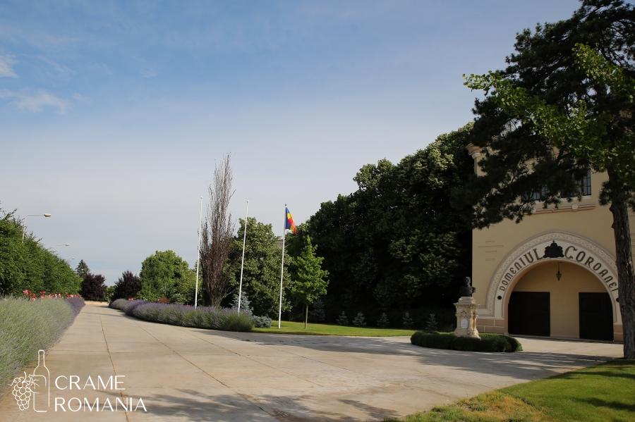 DOMENIUL COROANEI SEGARCEA , Galery. Domeniul Coroanei Segarcea