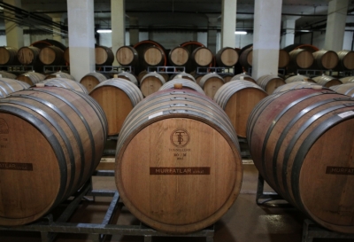 MURFATLAR WINERY, Galery. Murfatlar Winery