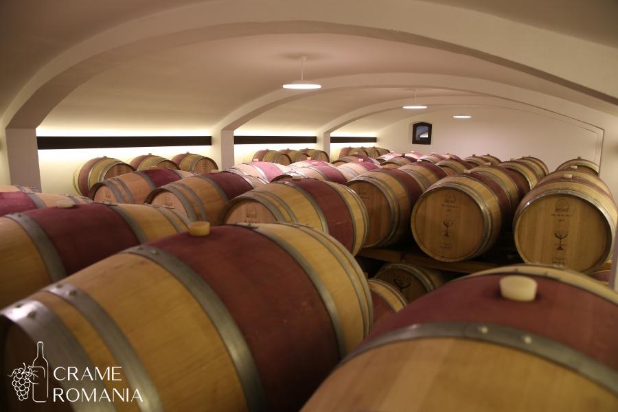 RASOVA WINERY, Galery
