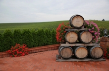 RECAS WINERIES, Galery. Recas Wineries