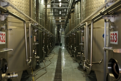 RECAS WINERIES, Galery. Recas Wineries