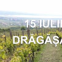 Crame Romania, Romanian Wineries, vinuri romanesti, case de vinuri