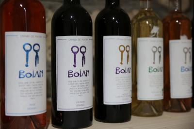 CRAMA DE PIATRA, Crame