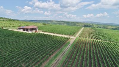 Podgoria Dealu Mare - drumul vinului, Informatii utile