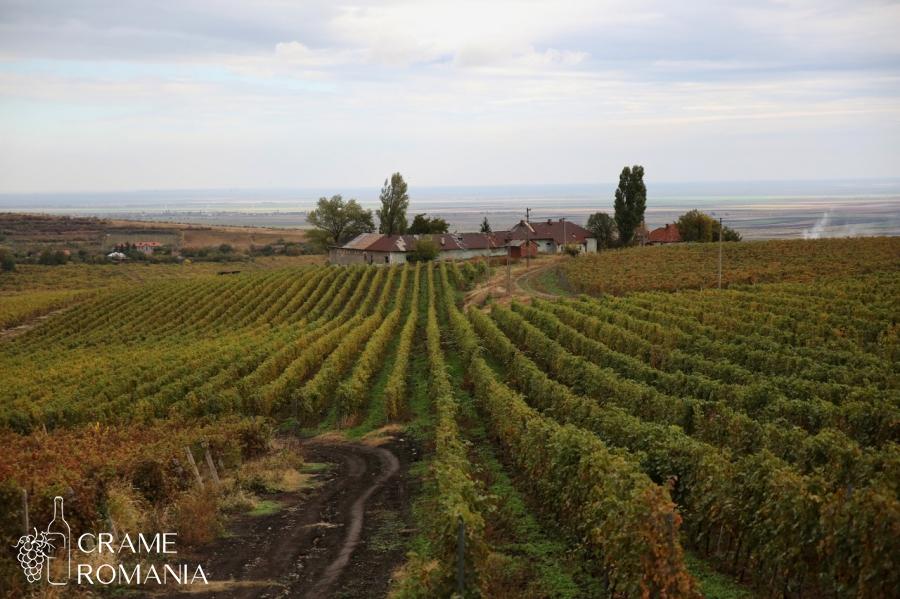 TOHANI ROMANIA, Crame. Vinuri DOMENIILE TOHANI