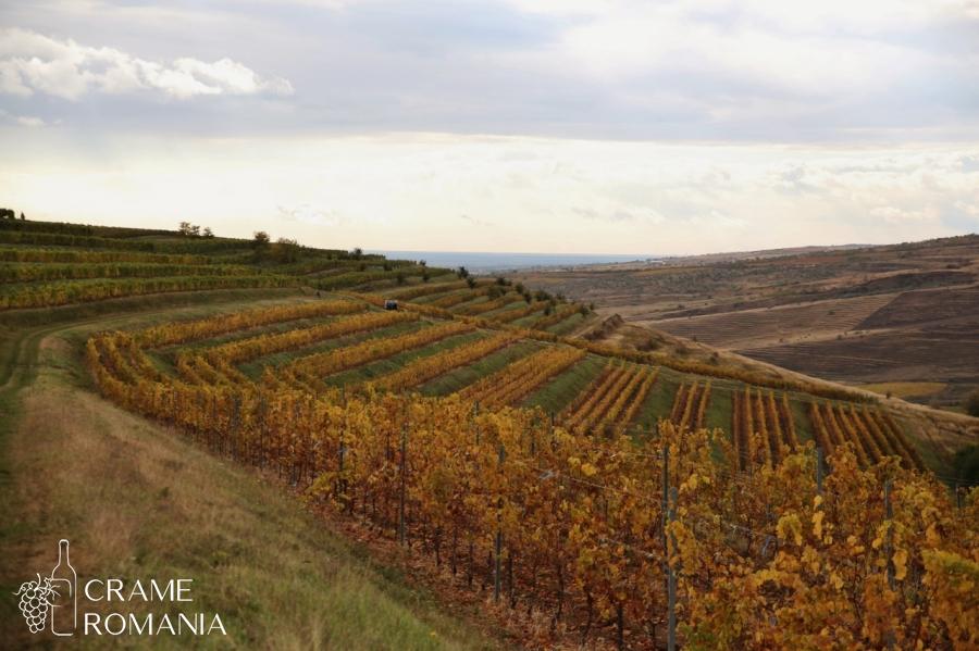 TOHANI ROMANIA, Crame. Vinuri DOMENIILE TOHANI